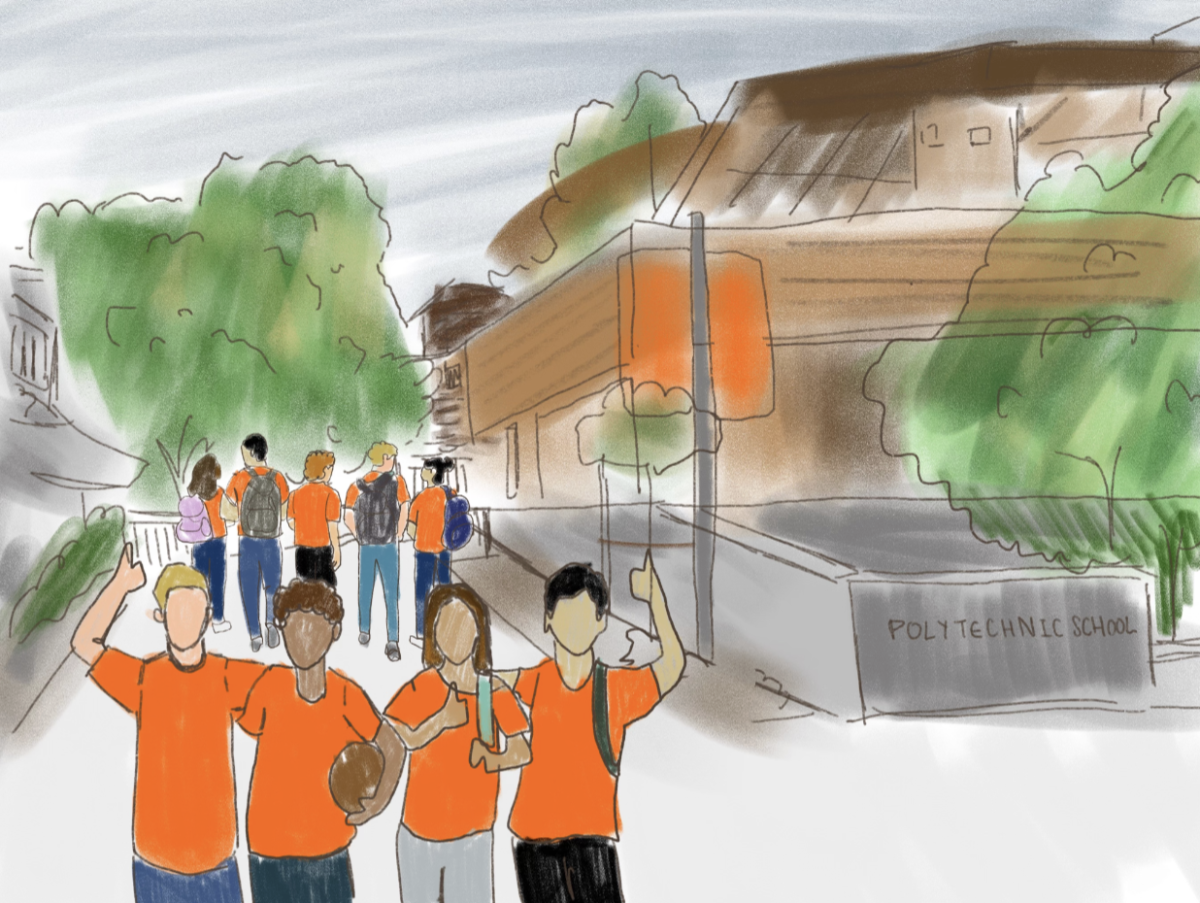 Filiz Fish – The Paw Print